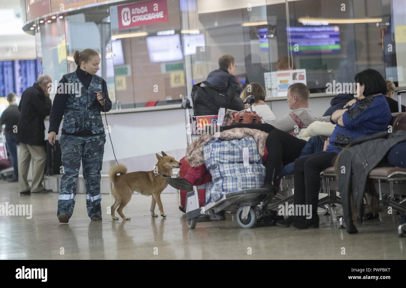 Sulimov Dog High Resolution Stock Photography and Images - Alamy