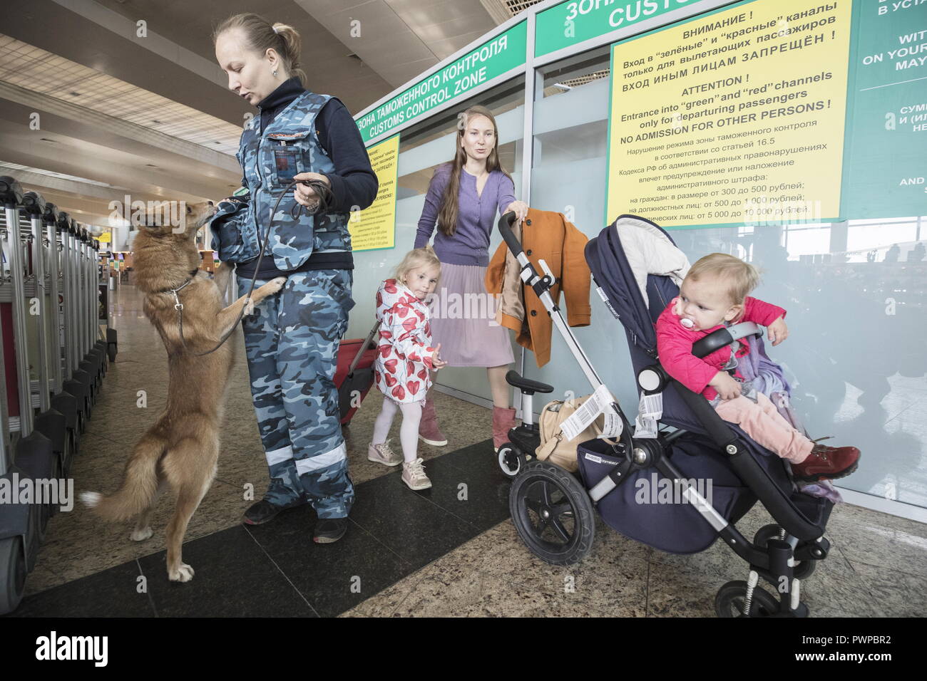 Sulimov Dog High Resolution Stock Photography and Images - Alamy