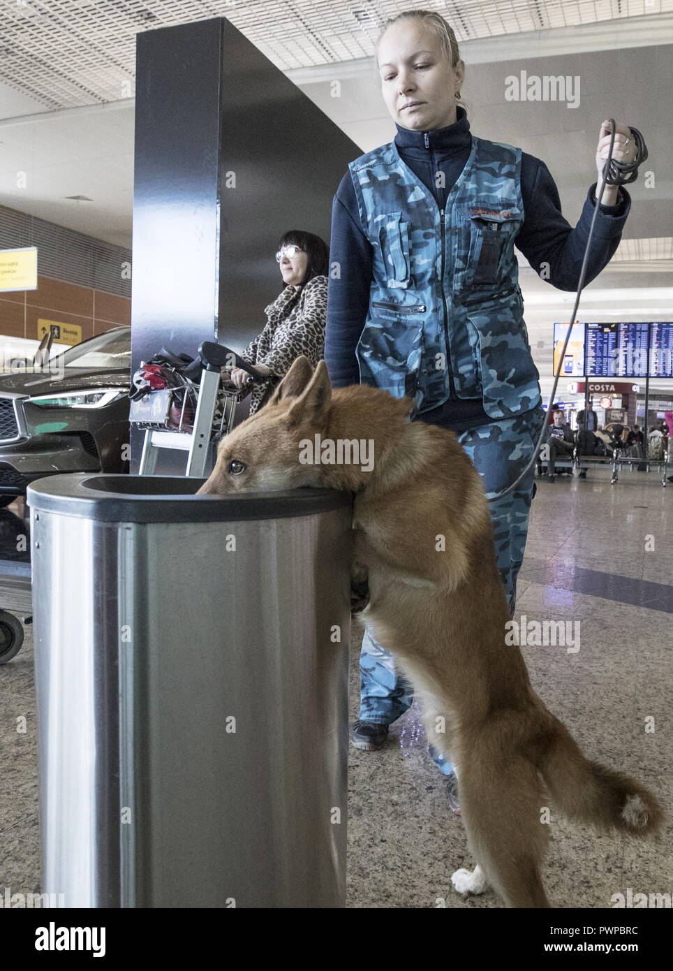 Sulimov Dog High Resolution Stock Photography and Images - Alamy