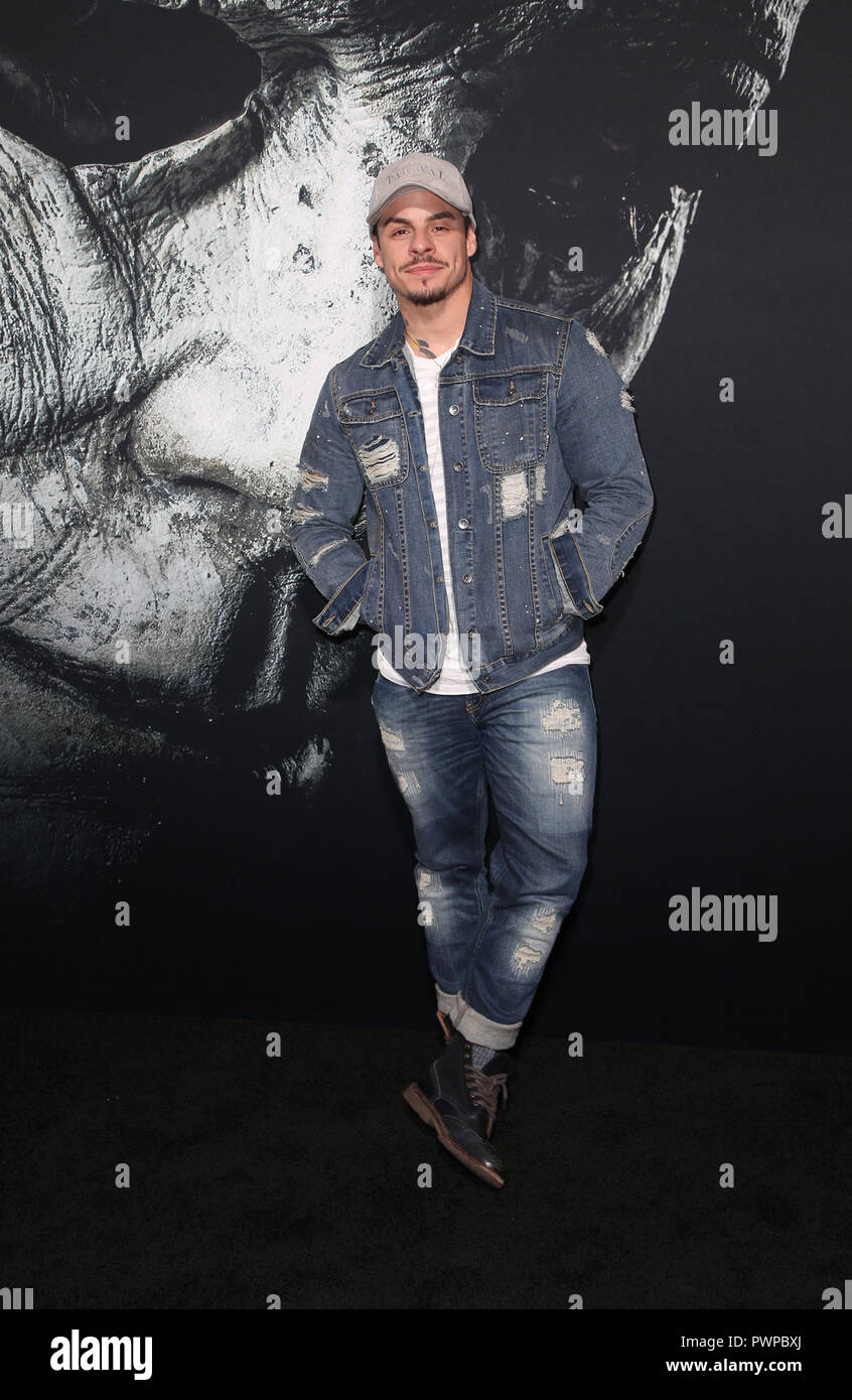 Hollywood, California, USA. 17th Oct, 2018. Beau Casper Smart, attends ...