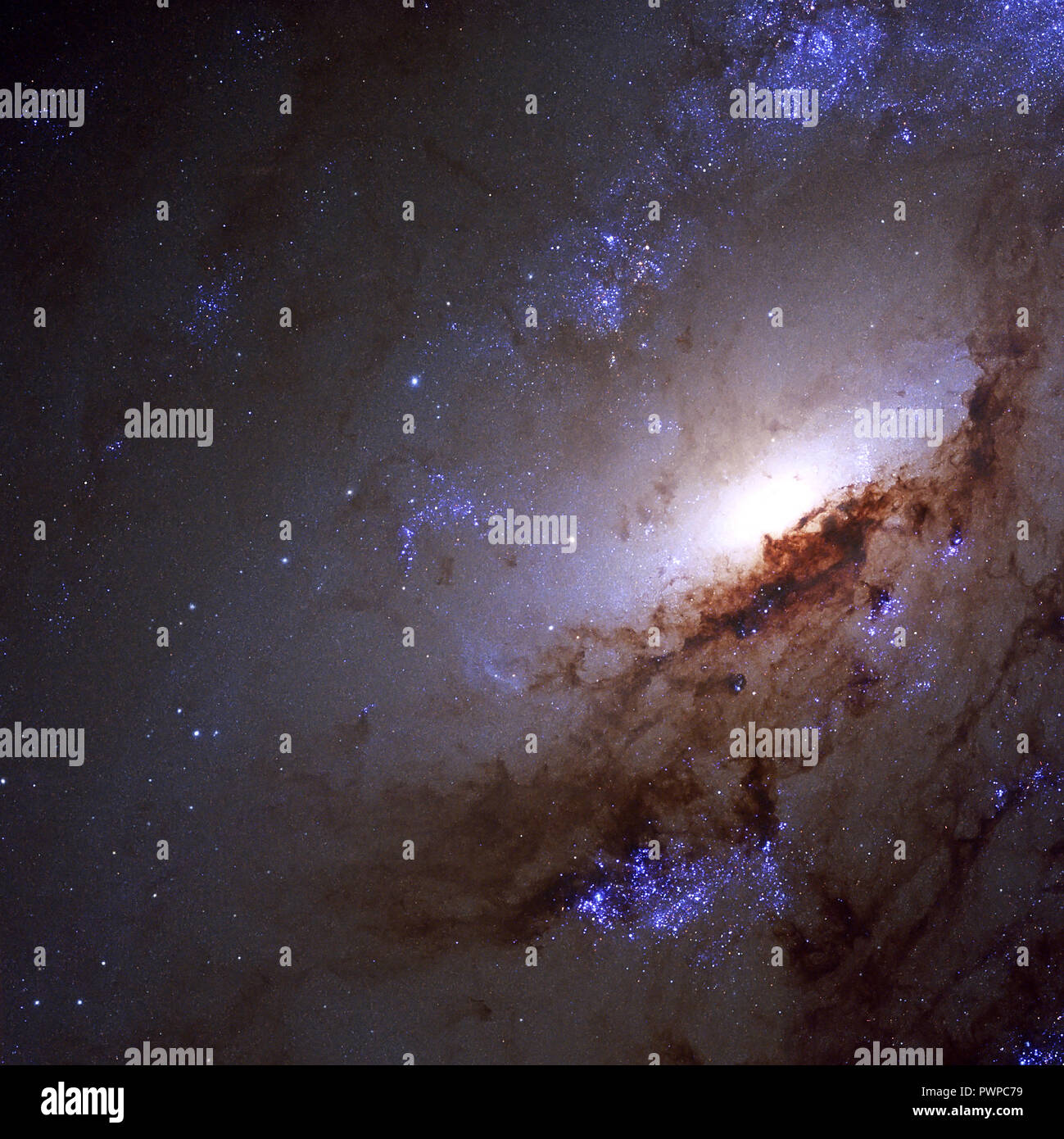 Incredibly beautiful spiral galaxy Messier 106 in deep space. Elements of this image furnished ...