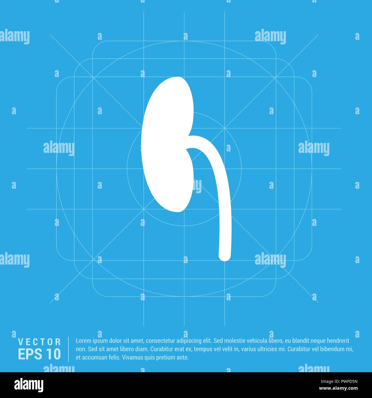 Kidney failure transplantation Stock Vector Images - Alamy