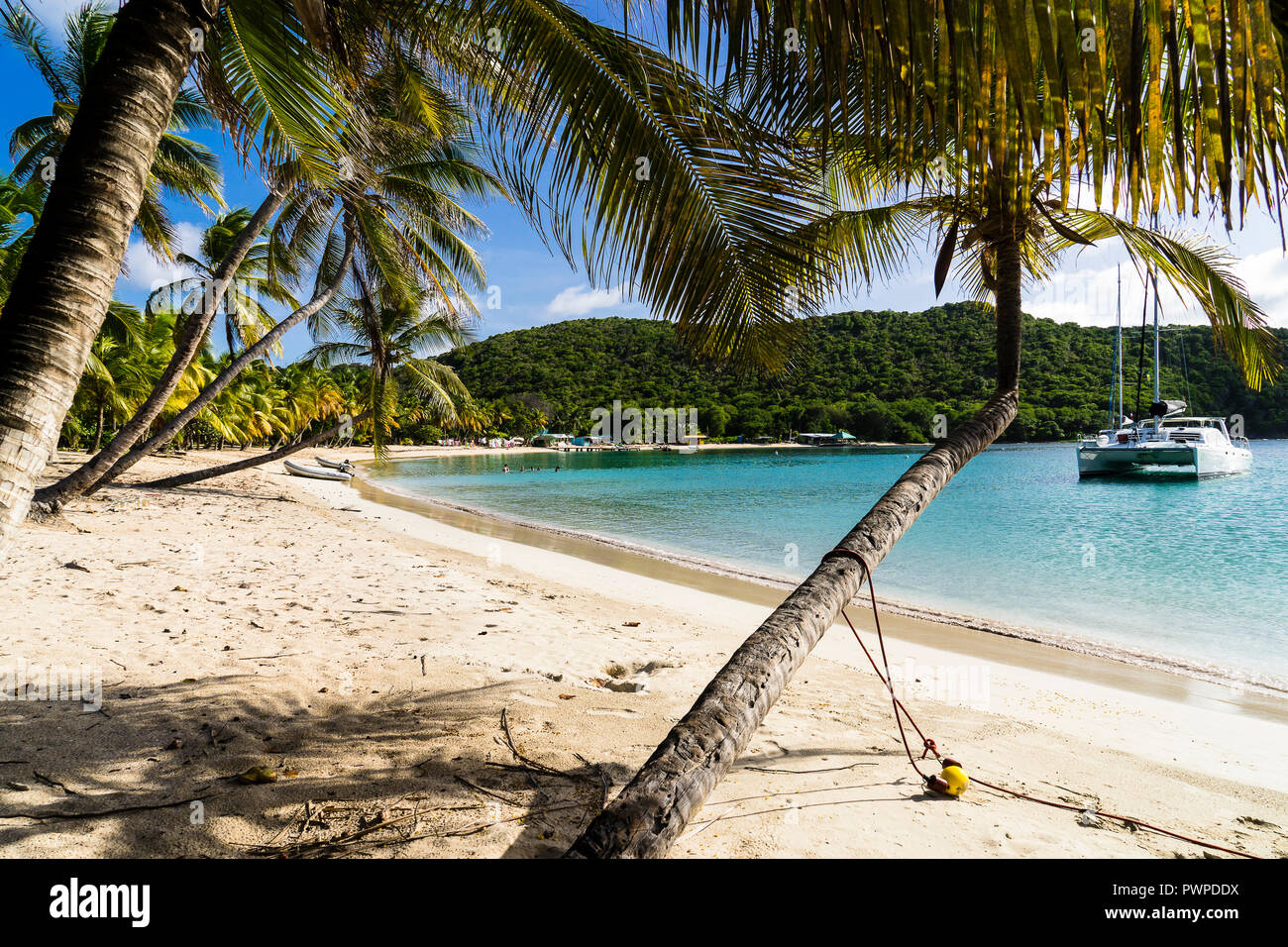 Palm island beach saint vincent hi-res stock photography and images - Alamy