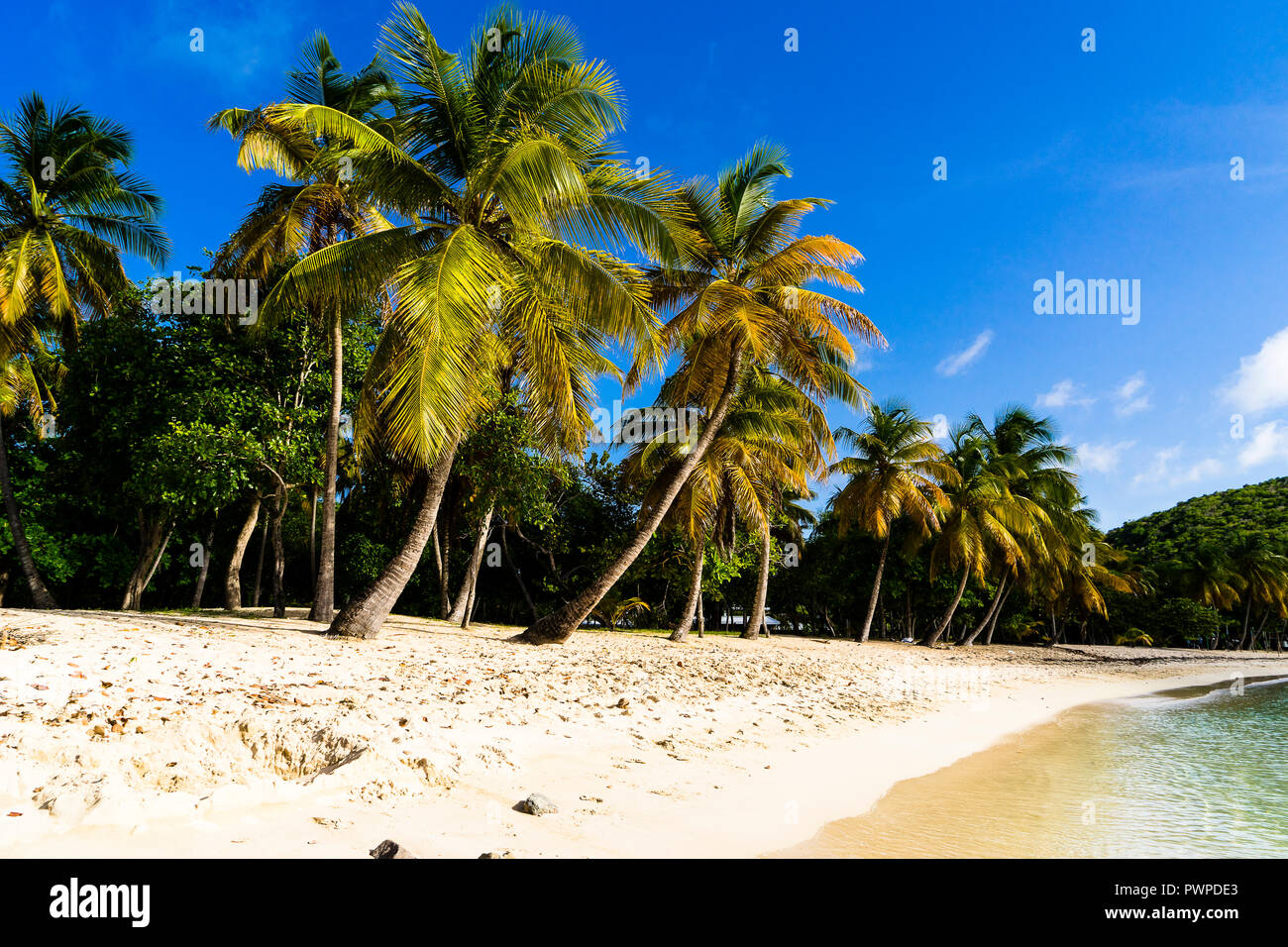 Salt Whistle Bay's beach, one of the most beautifull of all Lesser ...