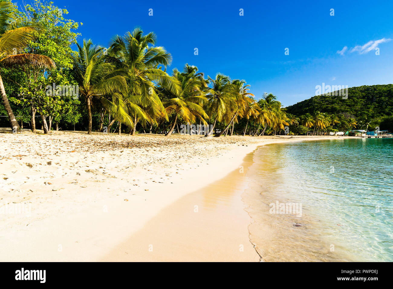 Salt Whistle Bay's beach, one of the most beautifull of all Lesser ...