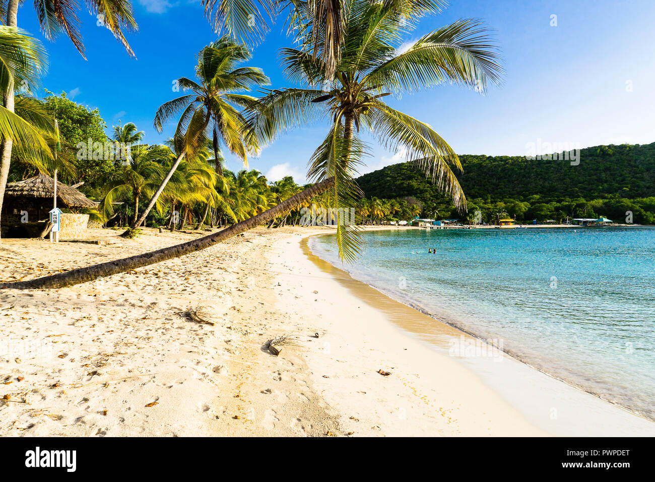 Salt Whistle Bay's beach, one of the most beautifull of all Lesser ...