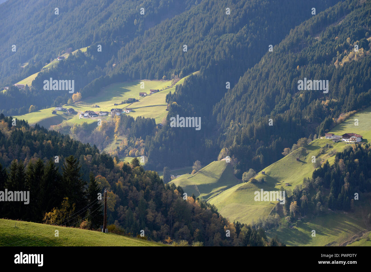 Greenery on architecture High Resolution Stock Photography and Images ...