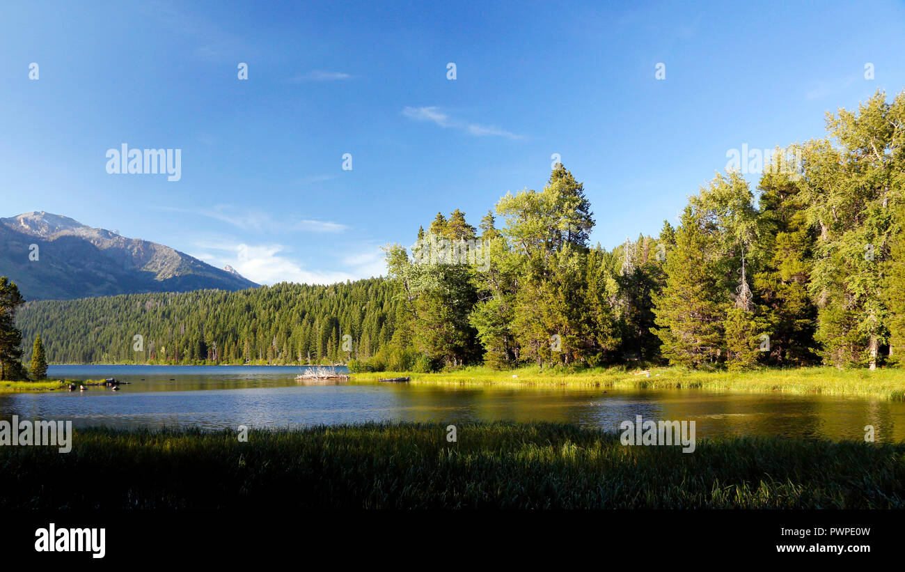 USA. Wyoming. Grand Teton National Park. Phelps Lake Stock Photo - Alamy