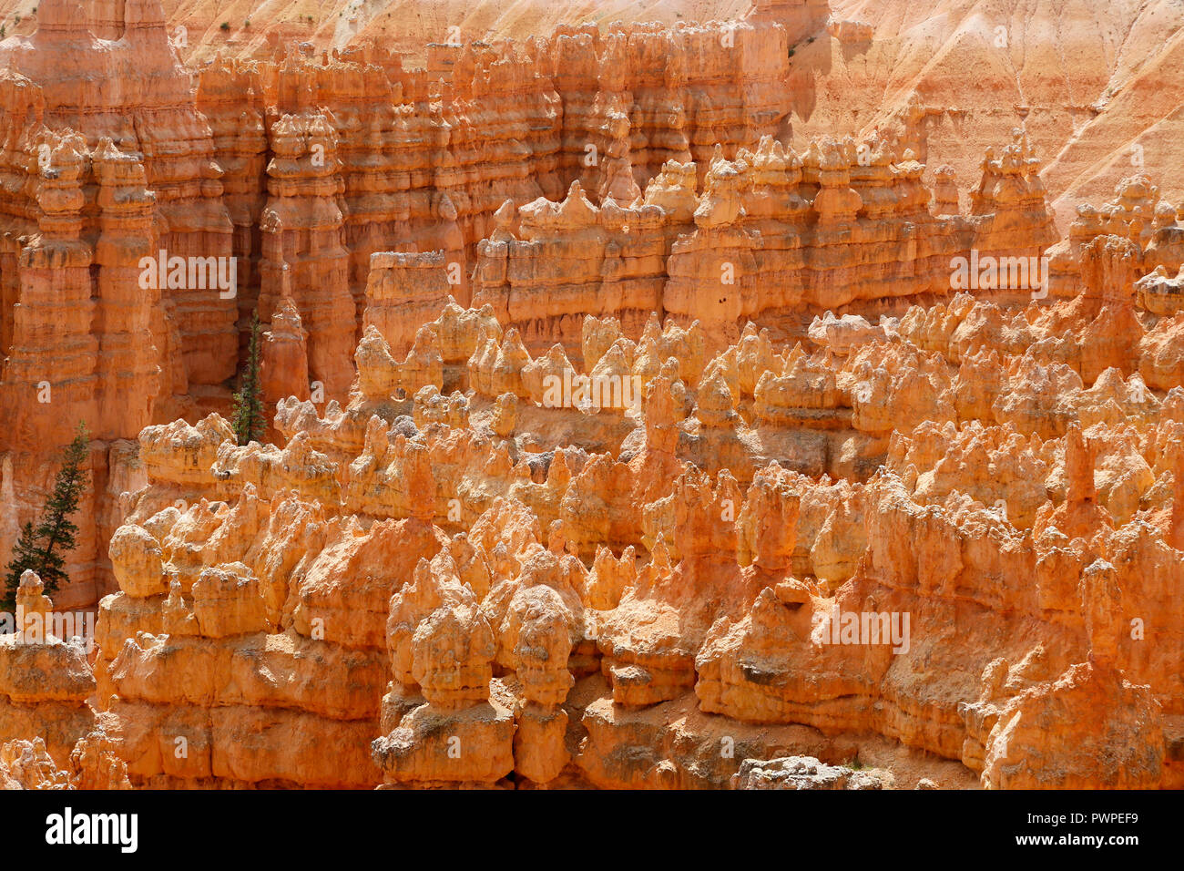 USA. Utah. Bryce Canyon. Sunset Point Stock Photo - Alamy
