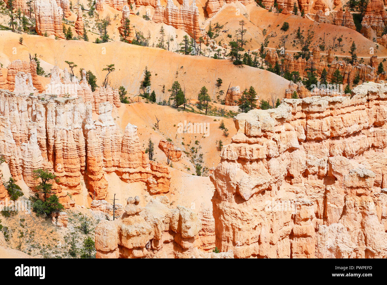 USA. Utah. Bryce Canyon. Sunset Point Stock Photo - Alamy