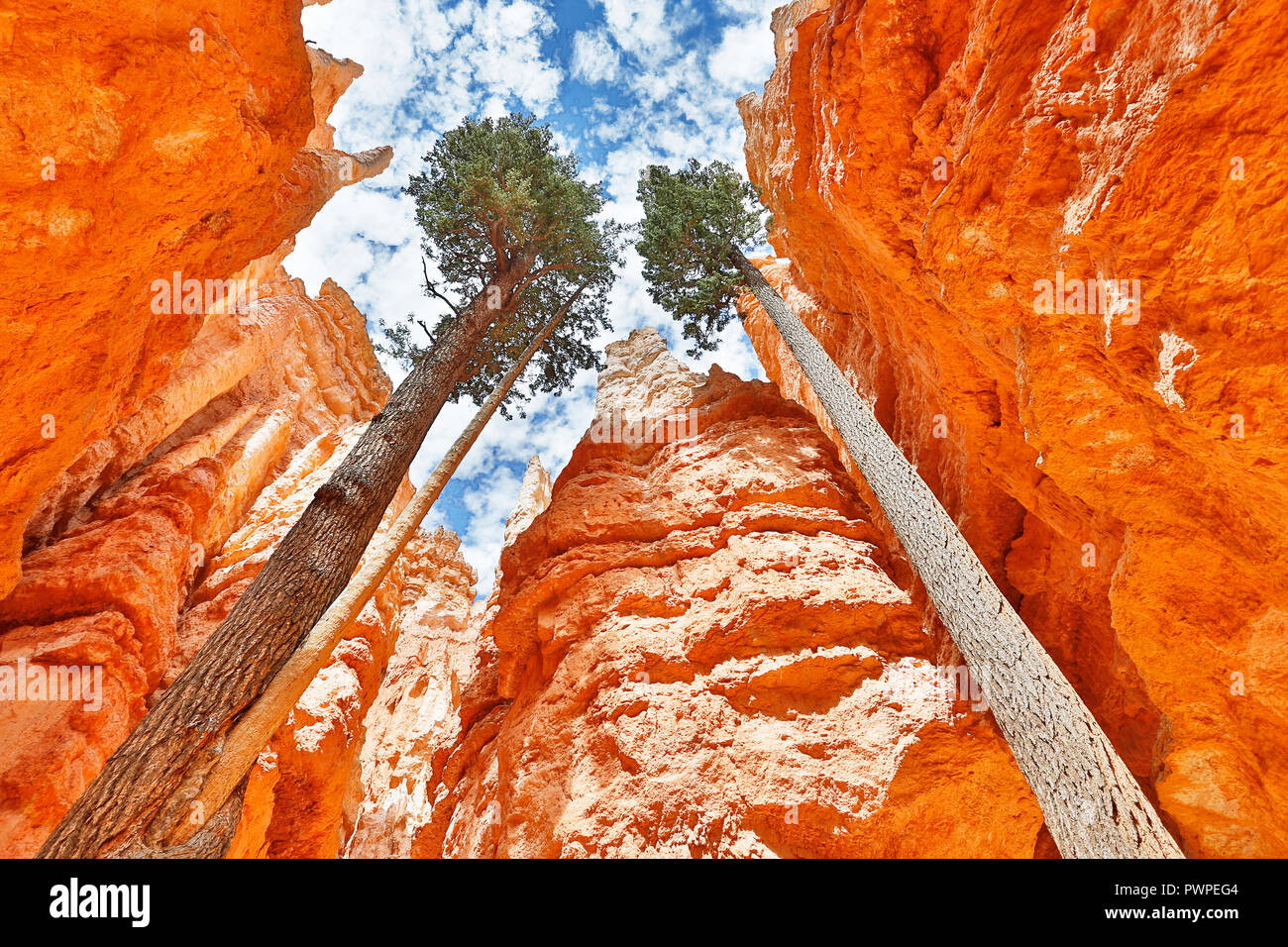 USA. Utah. Bryce Canyon. Sunset Point. Hiking Navajo Loop Trail. The ...