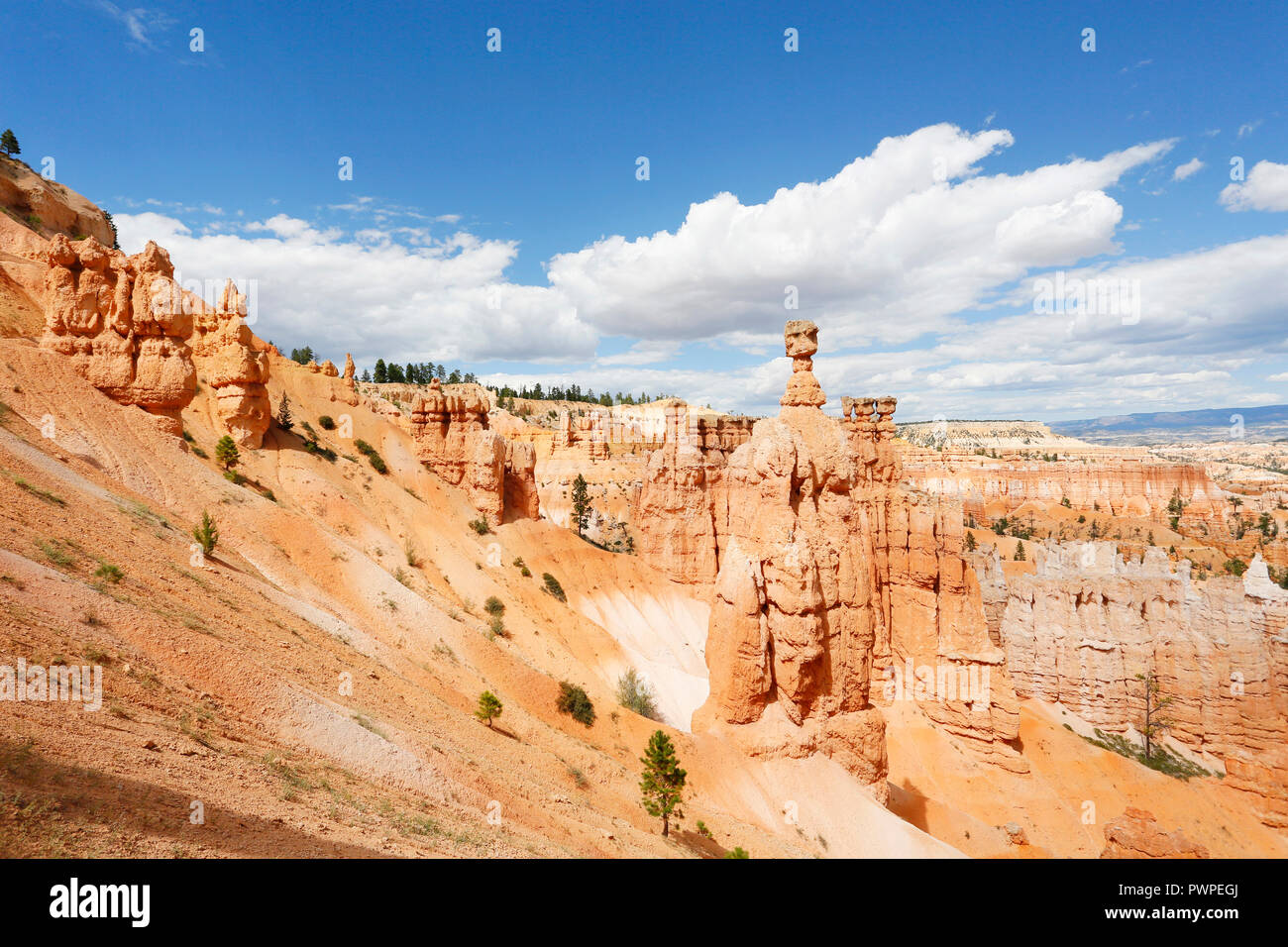 USA. Utah. Bryce Canyon. Sunset Point Stock Photo - Alamy