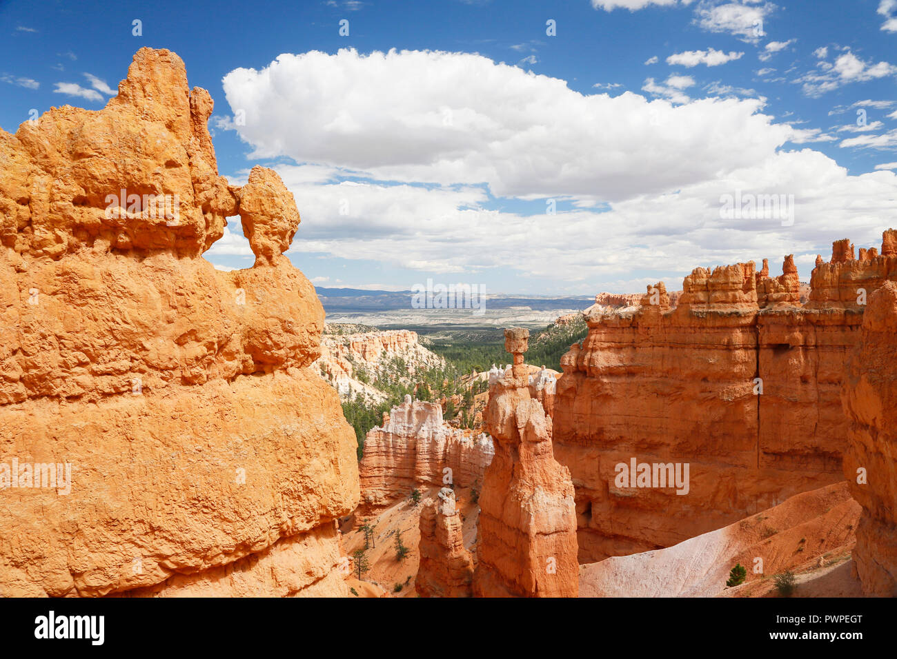 USA. Utah. Bryce Canyon. Sunset Point Stock Photo - Alamy