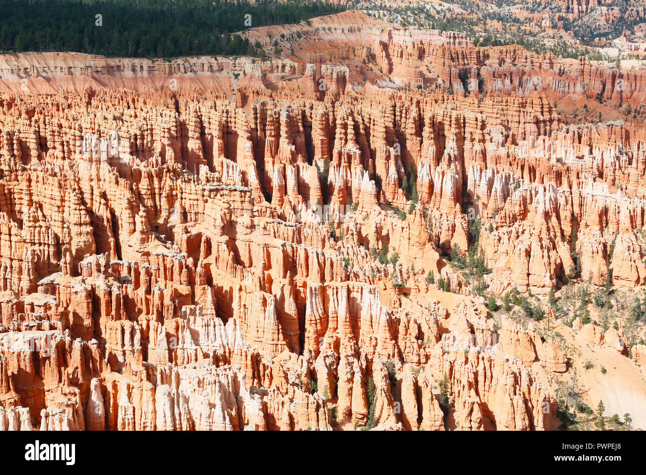 USA. Utah. Bryce Canyon. Inspiration Point Stock Photo - Alamy