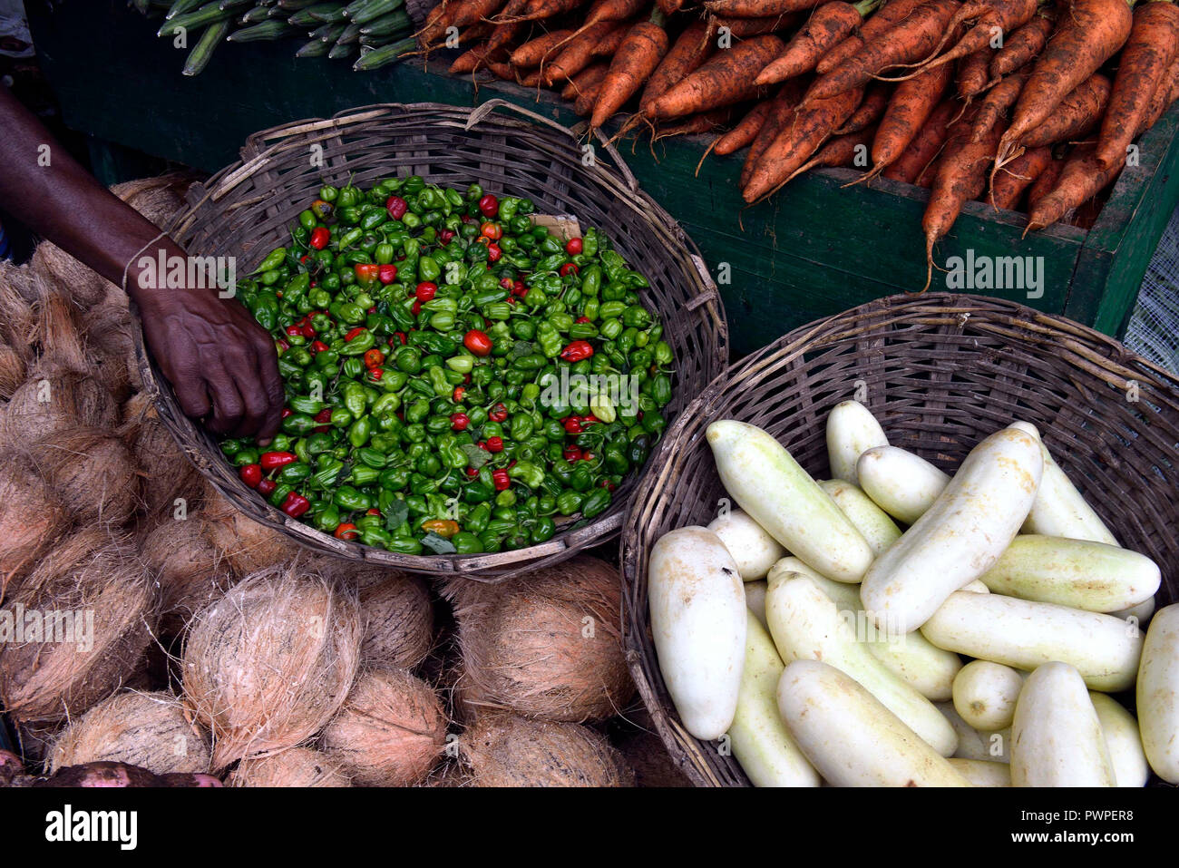 Sri Lanka. Village of Hulu Ganga. Vegetable vendor, carrots, turnip ...