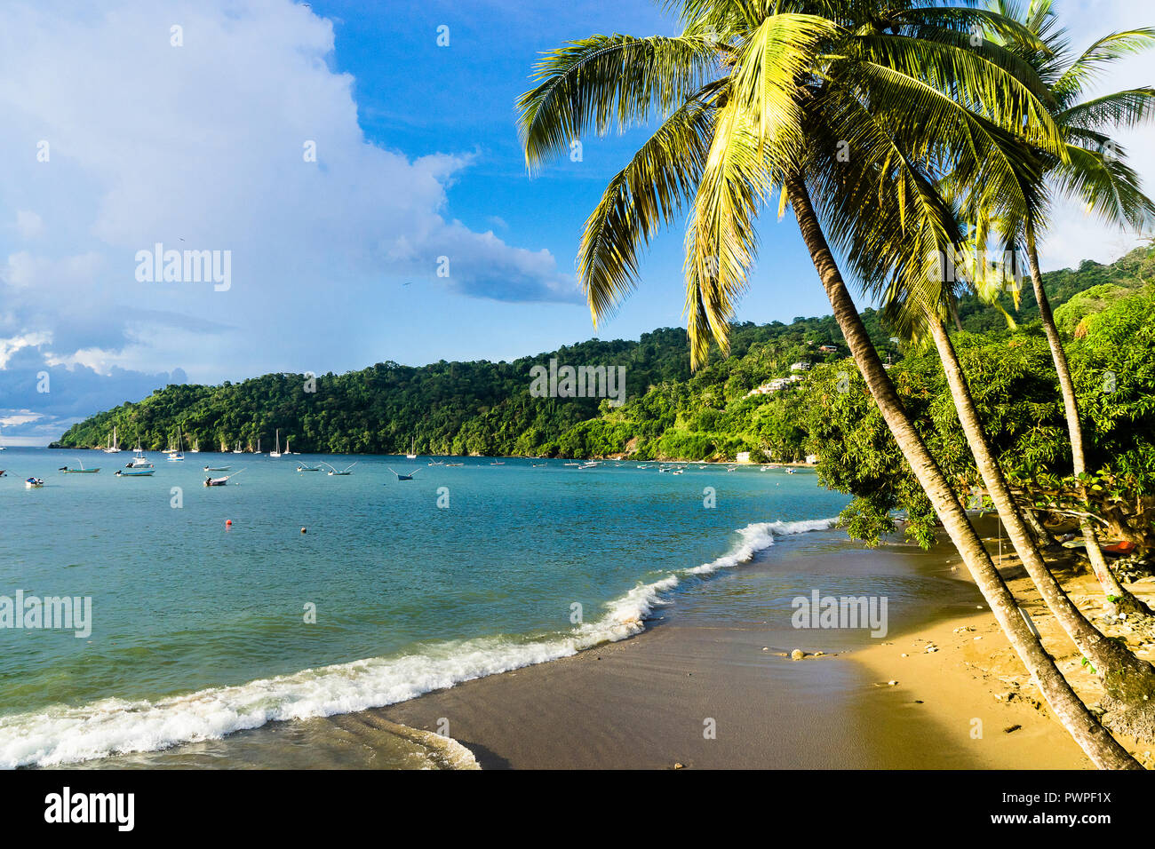 View on Charlotteville's bay and the beach, Charlotteville, Tobago ...
