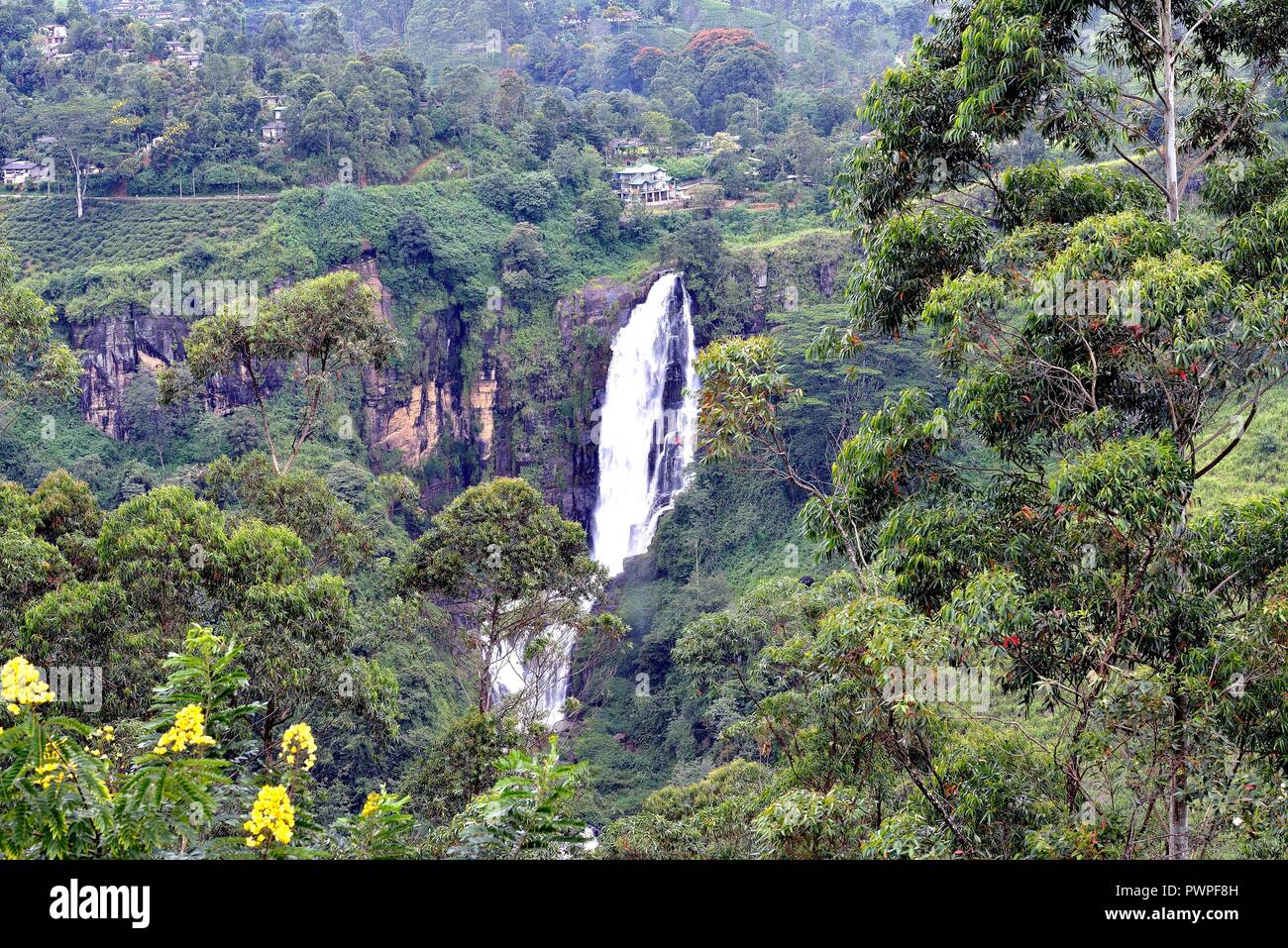 St clair waterfall lanka hi-res stock photography and images - Alamy