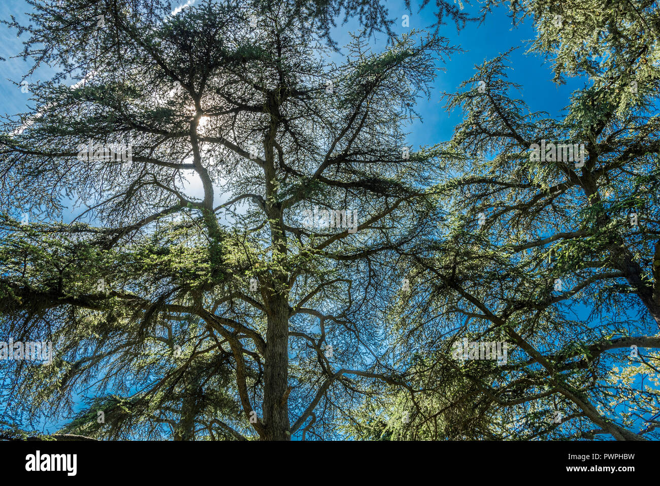 Cenon hi-res stock photography and images - Alamy