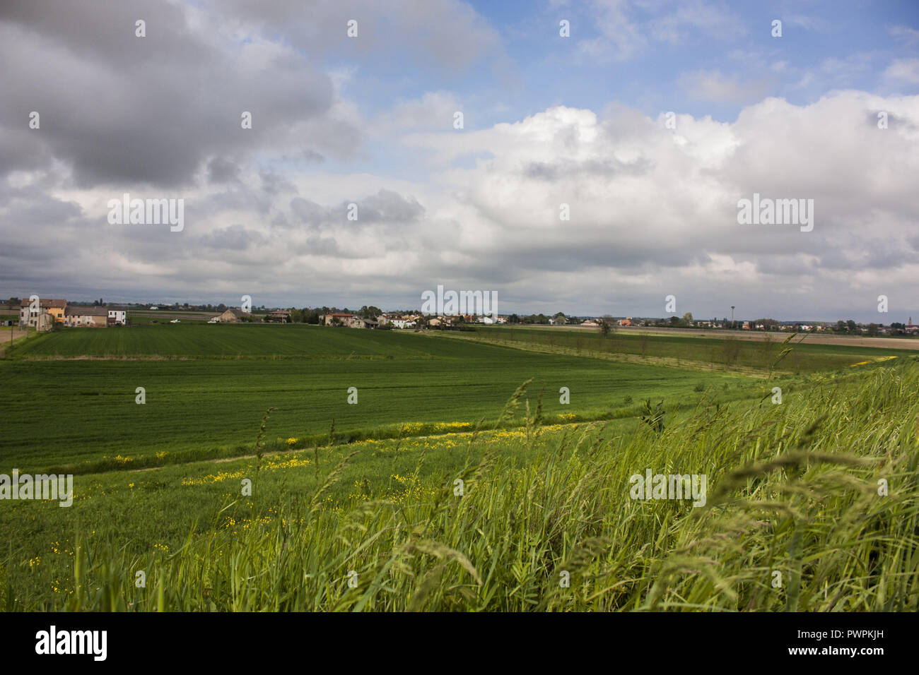 Typical Italian countryside. rural area of northern Italy, with florid ...