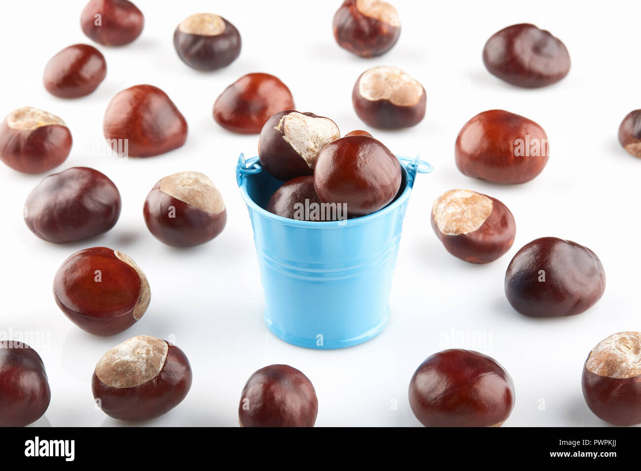 Blue bucket with chestnuts and peeled horse-chestnuts on white ...