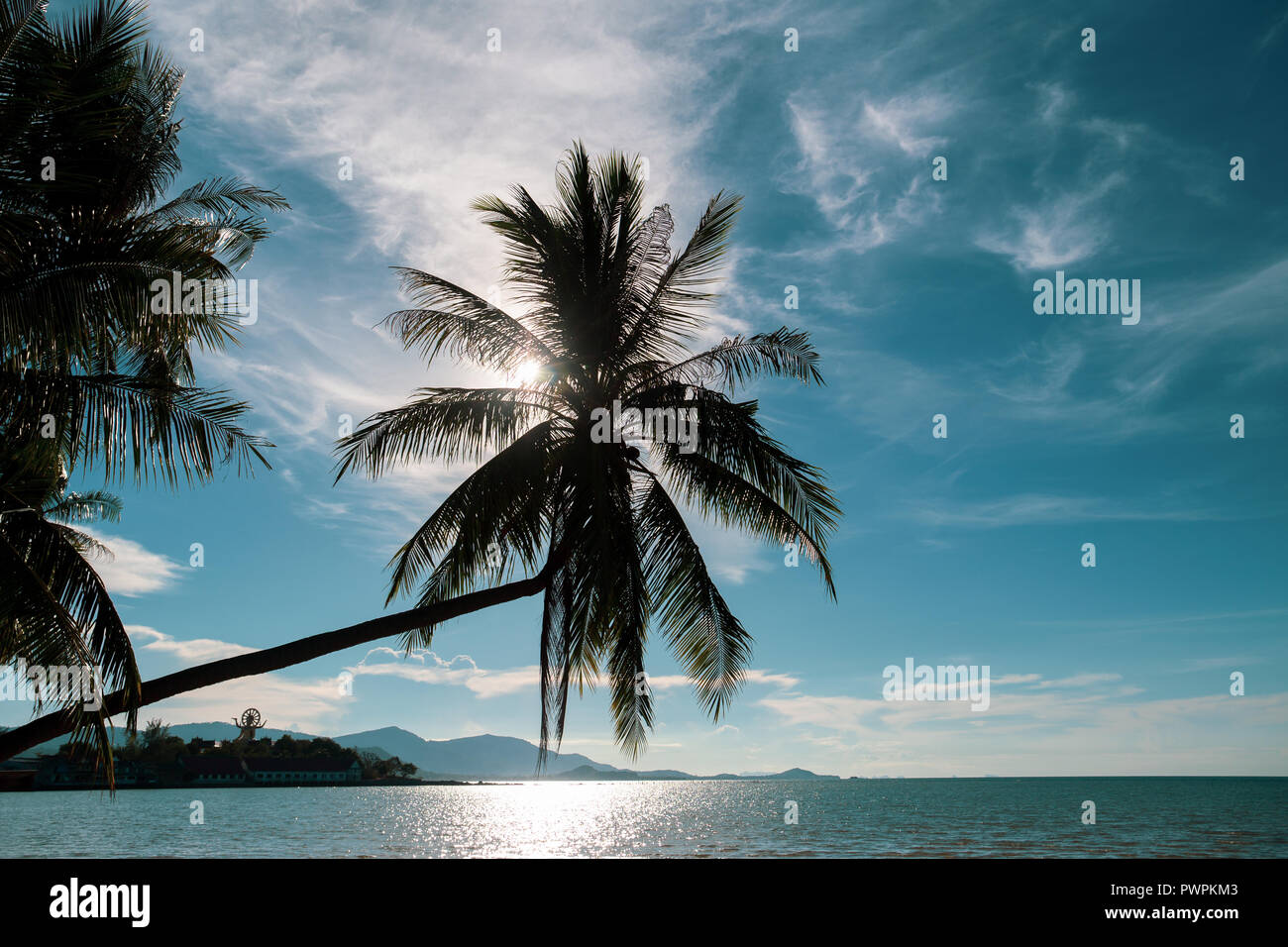 Coconut palm tree on the ocean against turquoise sky in koh samui ...