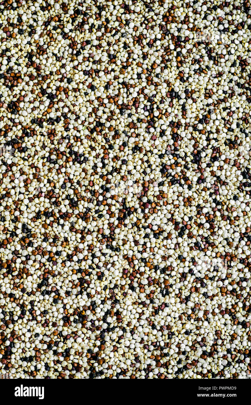 Three colour quinoa macro Stock Photo - Alamy