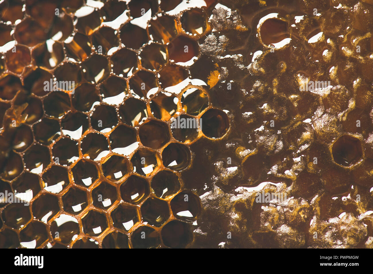 Natural bee honeycomb texture, wallpaper or background, close-up, top ...