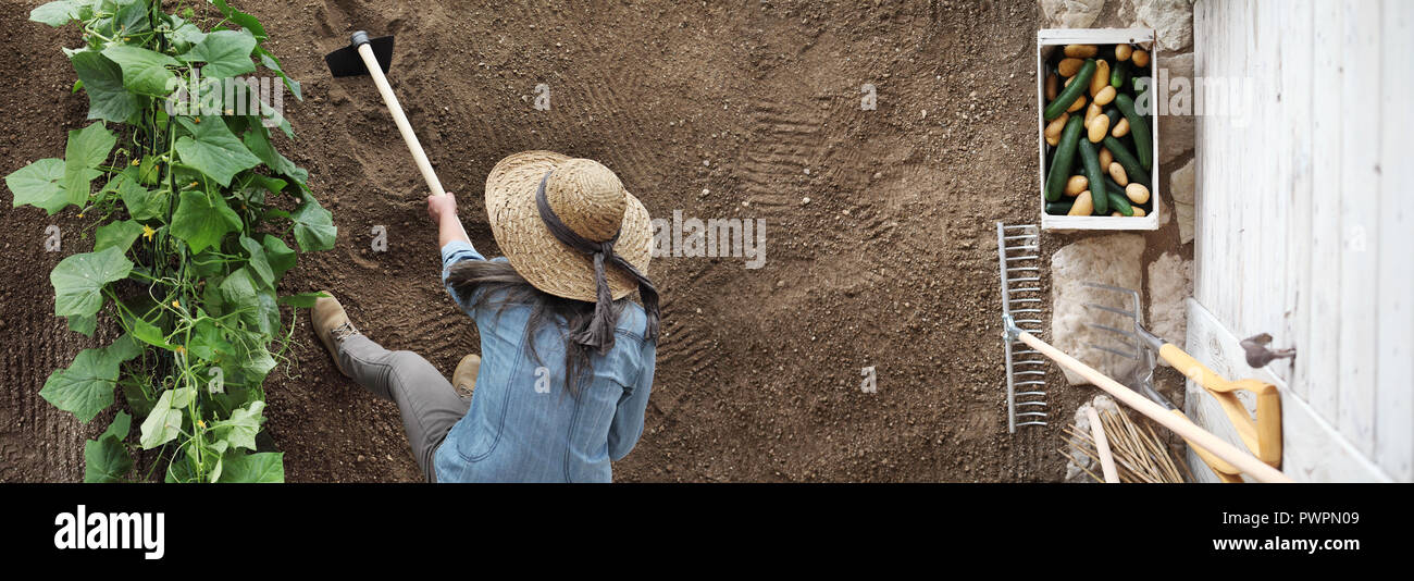 Woman hoeing garden hi-res stock photography and images - Alamy