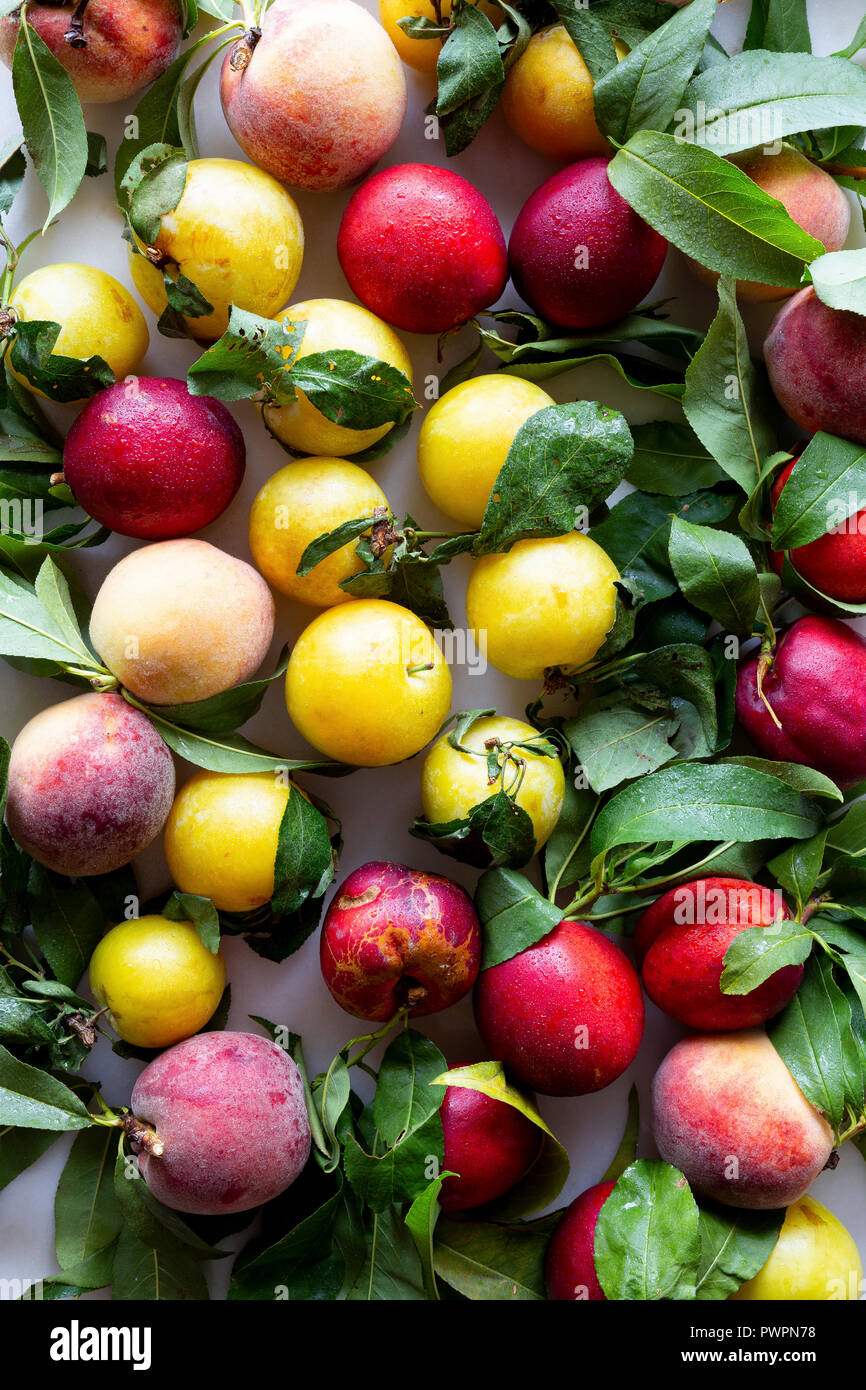 Farm fresh peaches Stock Photo - Alamy