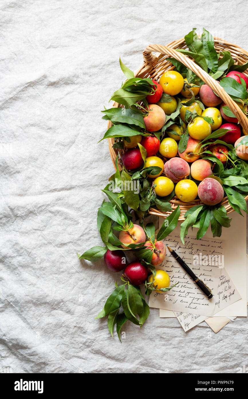 Farm fresh peaches Stock Photo - Alamy