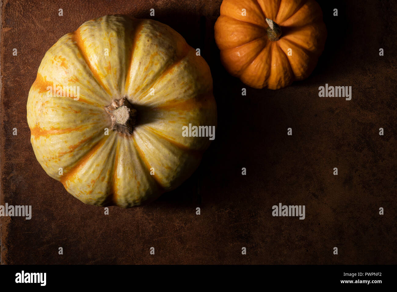 Mini pumpkins overhead hi-res stock photography and images - Alamy