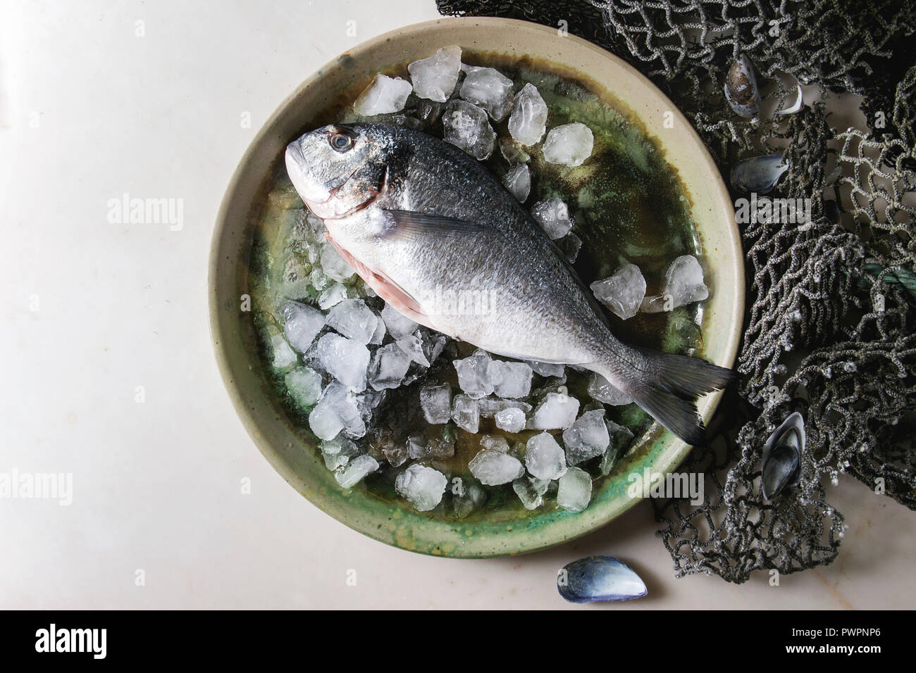 Raw uncooked gutted sea bream or dorado fish on ceramic plate with ice ...