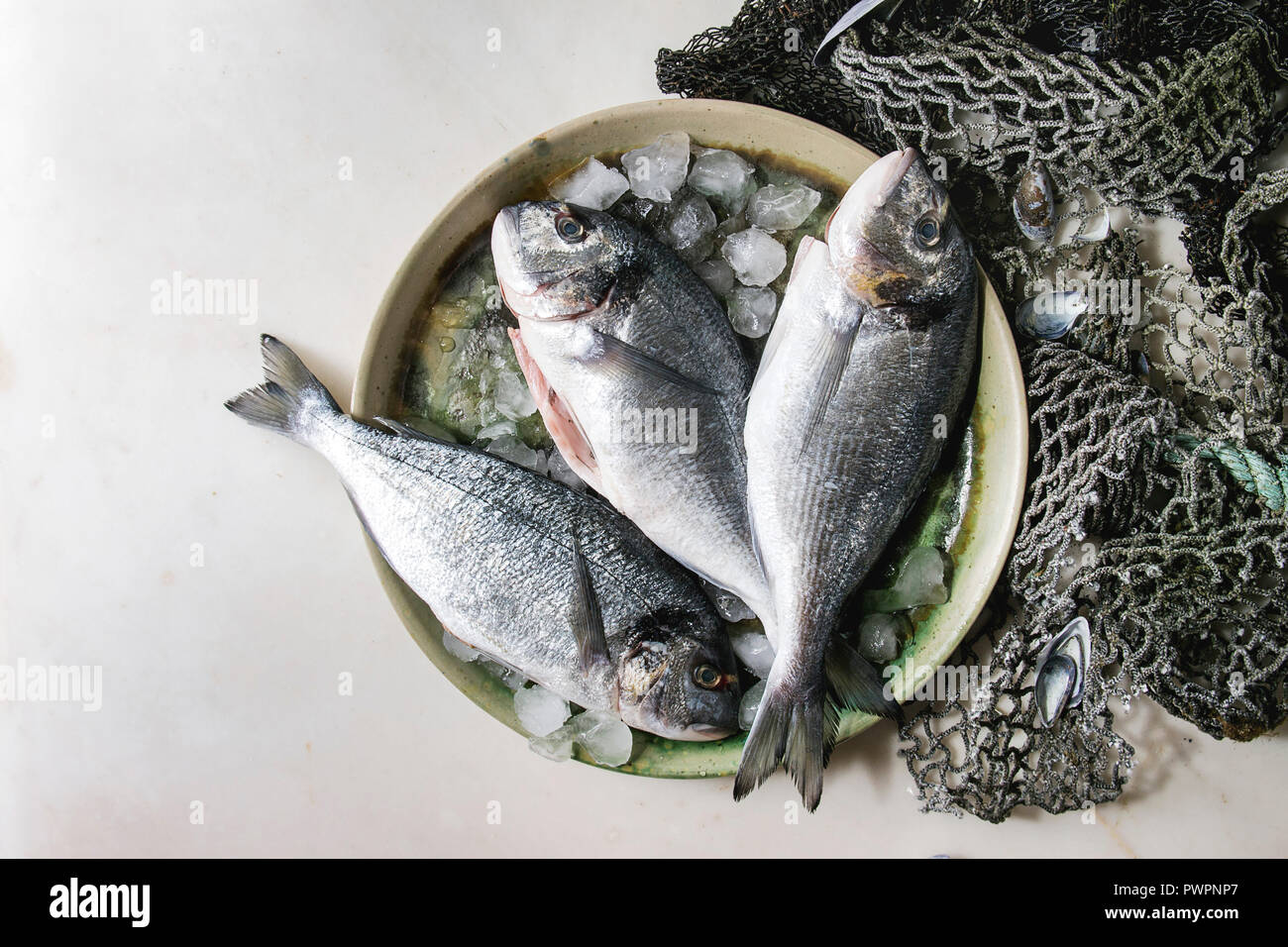 Raw uncooked gutted sea bream or dorado fish on ceramic plate with ice ...