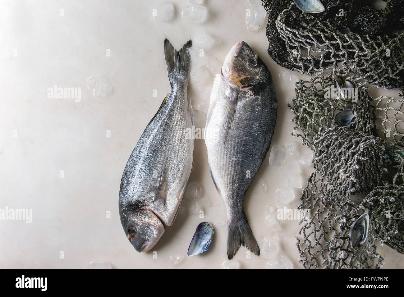 Two Raw uncooked gutted sea bream or dorado fish on ice with old sea ...