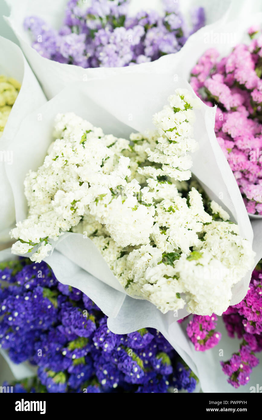 Statice flower hi-res stock photography and images - Alamy