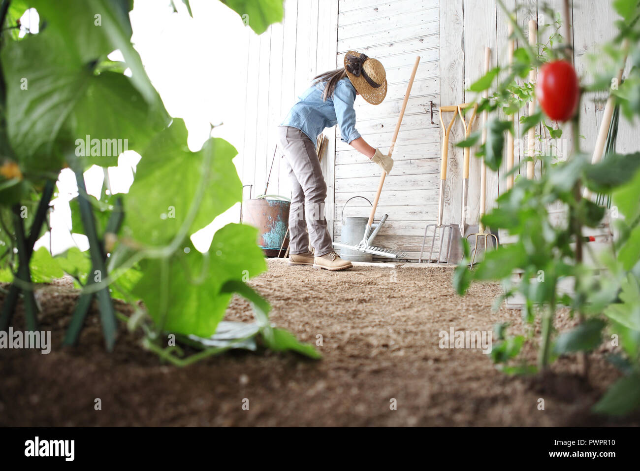 woman in the vegetable garden with rake from the wooden wall of tools ...