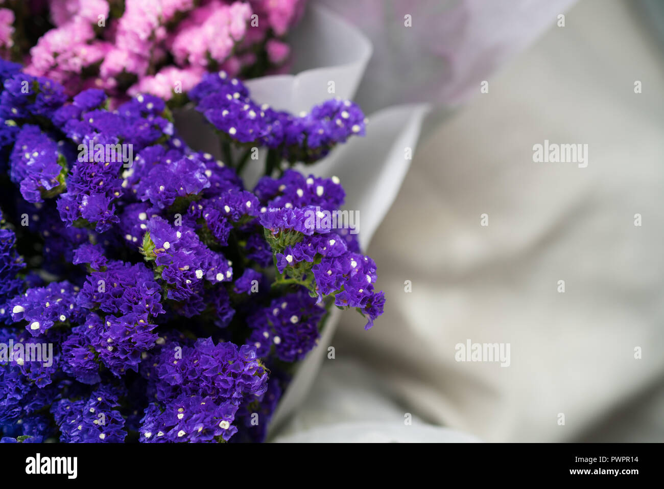 Statice flower hi-res stock photography and images - Alamy