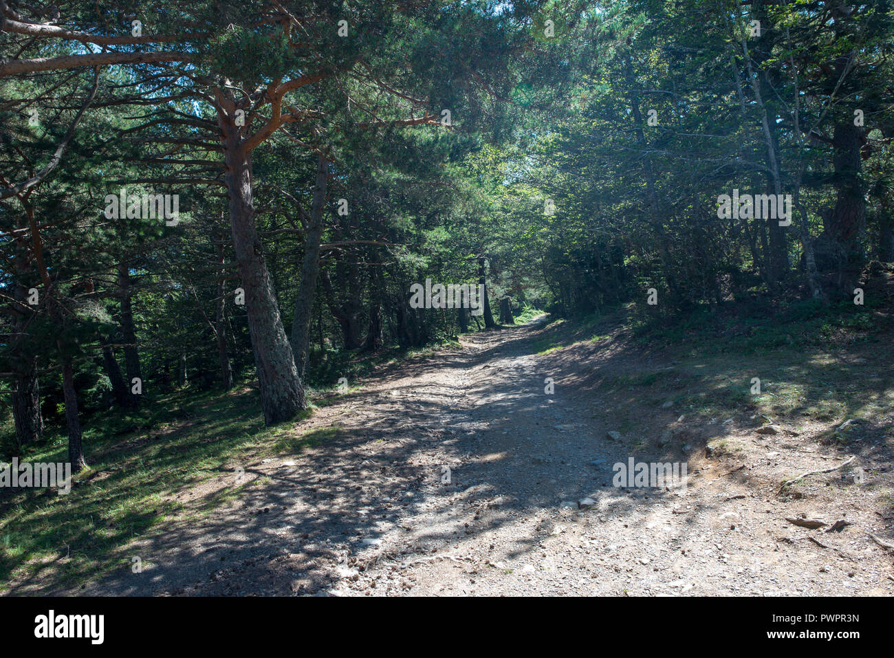 Mountains through the Valley of Aran de Lleida, Spain Stock Photo - Alamy