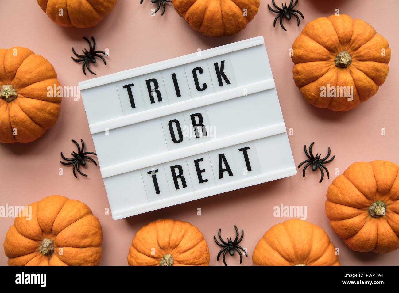 Trick or Treat halloween lightbox message with black scary bats Stock ...