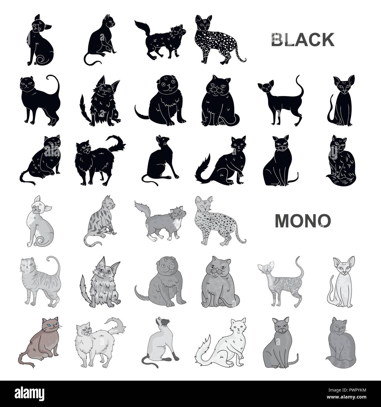 Breeds of cats black icons in set collection for design. Pet cat vector ...
