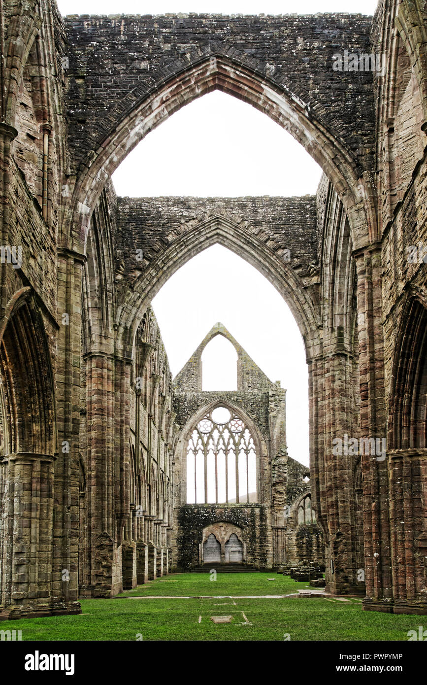 Tintern Abbey, a ruin alongside the River Wye Stock Photo - Alamy
