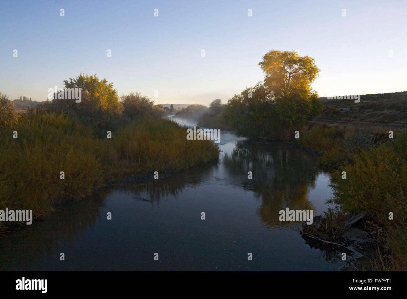 Willow trees and bushes glint with gold at sunrise over the Malheur ...