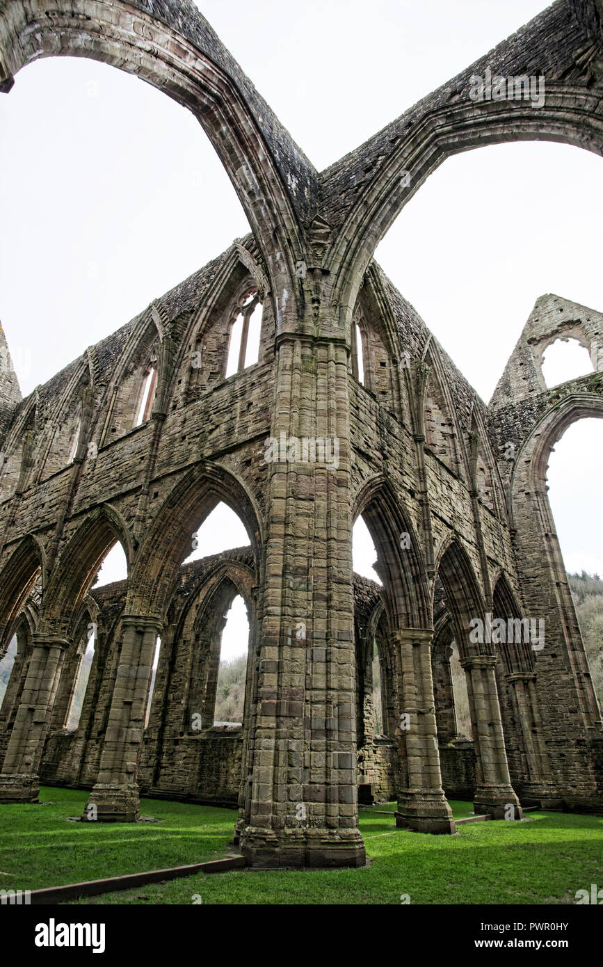 Tintern Abbey, a ruin alongside the River Wye Stock Photo - Alamy