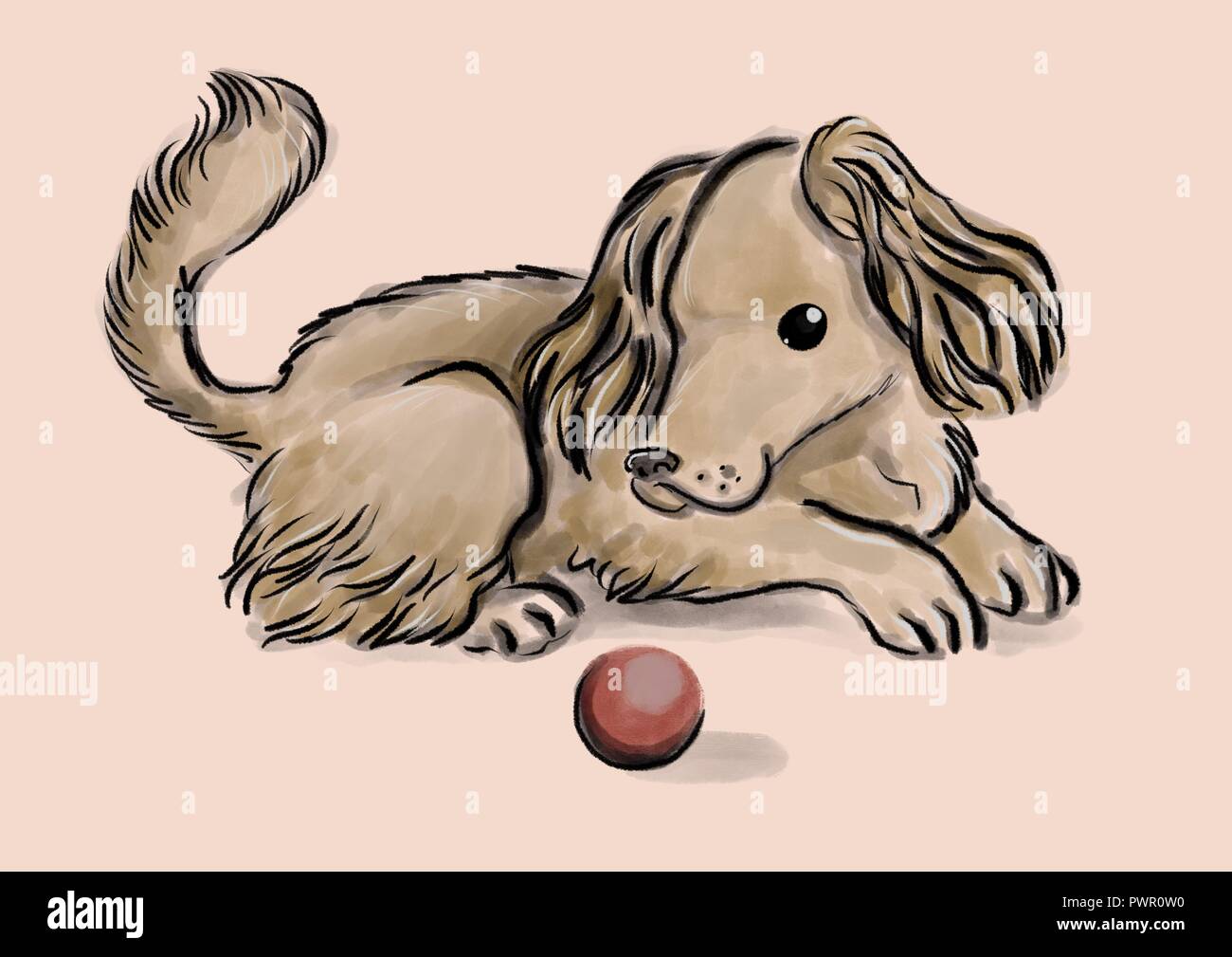a cute cocker spaniel illustration Stock Photo - Alamy