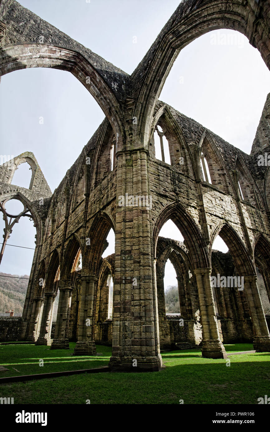 Tintern Abbey, a ruin alongside the River Wye Stock Photo - Alamy