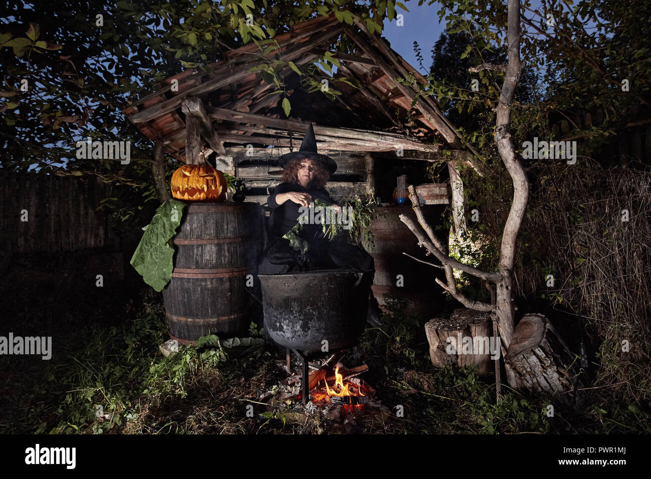 Witch boiling spells in a cast iron black pot in her shed Stock Photo ...