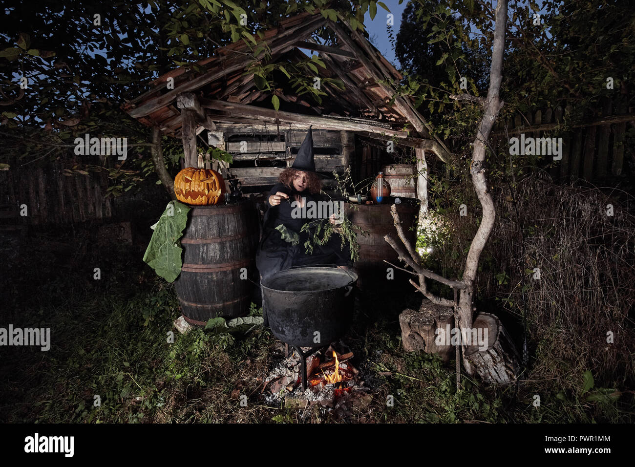 Witch boiling spells in a cast iron black pot in her shed Stock Photo ...