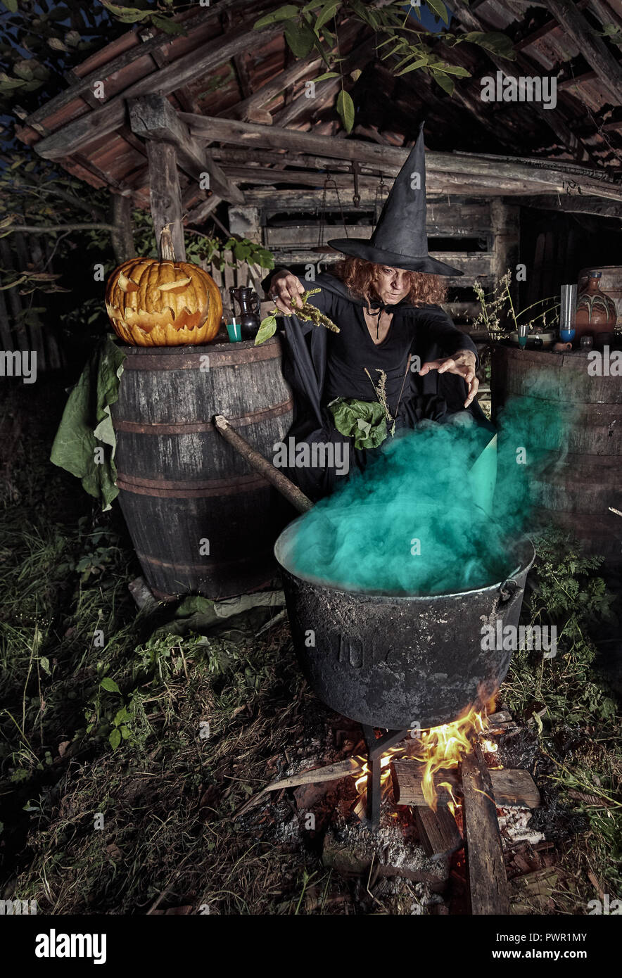 Witch boiling spells in a cast iron black pot in her shed Stock Photo ...