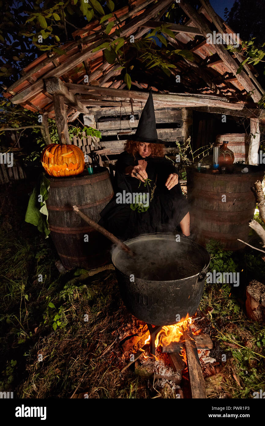 Witch boiling spells in a cast iron black pot in her shed Stock Photo ...