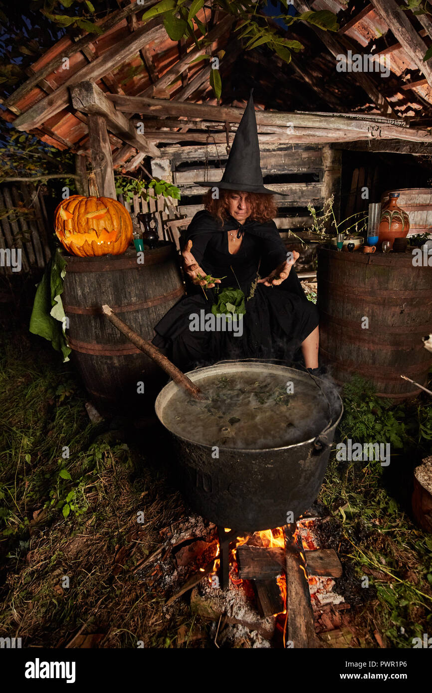 Witch boiling spells in a cast iron black pot in her shed Stock Photo ...